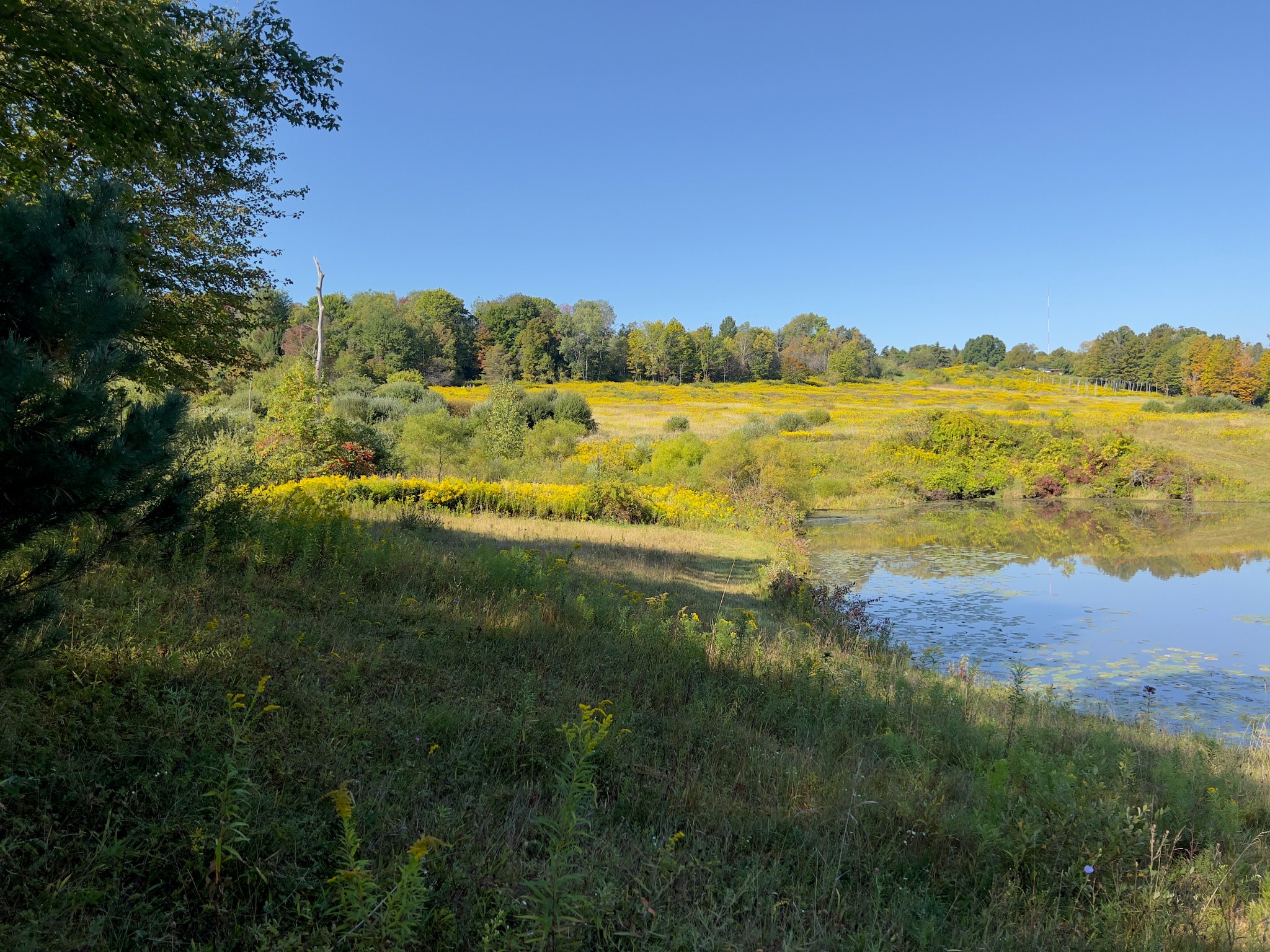 Meshtastic as a plugin to ATAK – BuffaLoRa